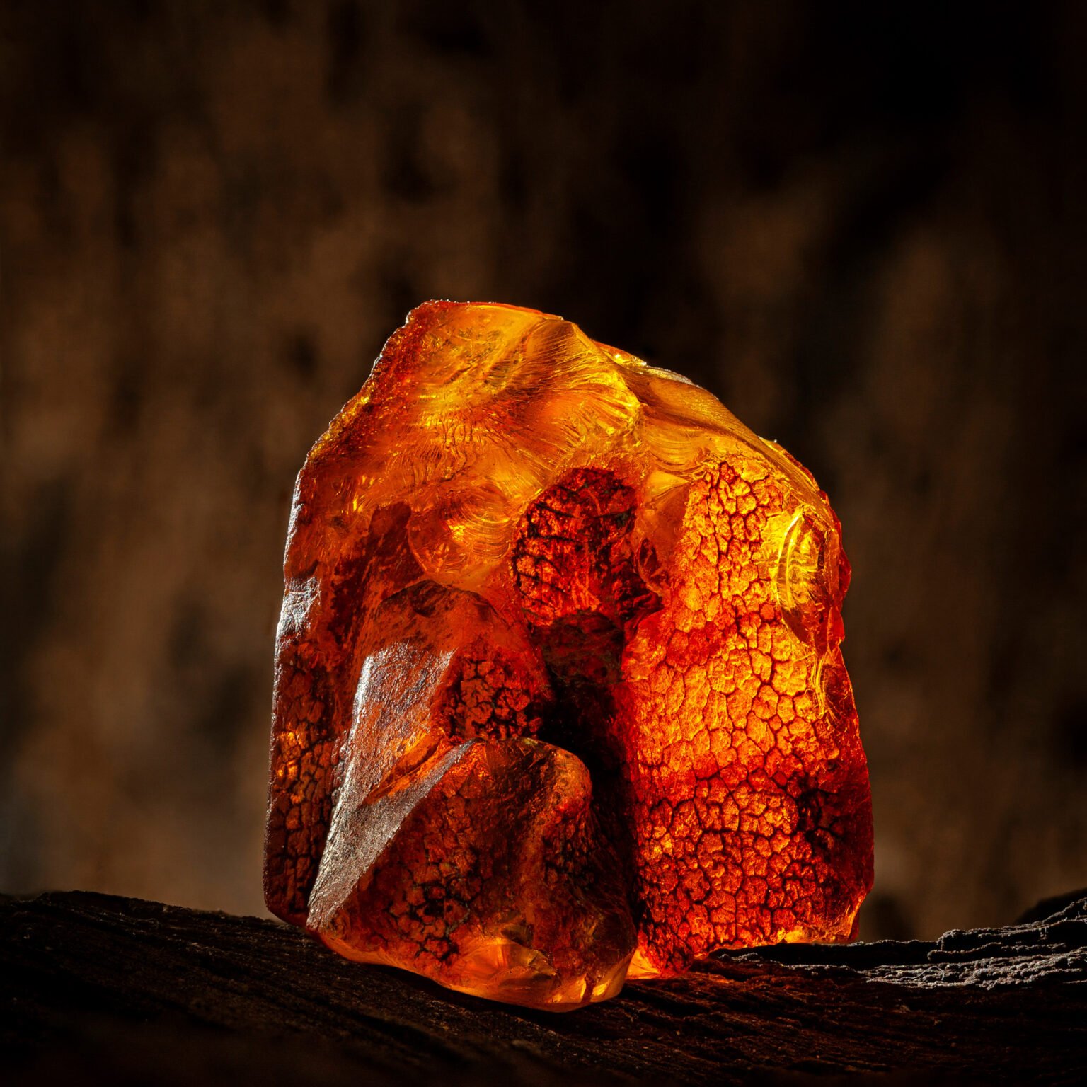 Oriental Amber – FrancheskaFlora